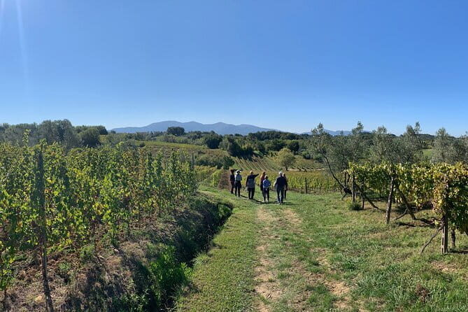 Chianti Wine Tasting Tour from Florence (2 Wineries) - What Makes This Tour Stand Out?