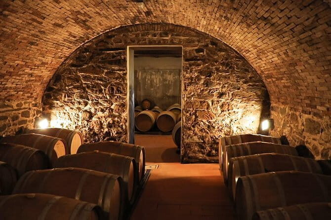 Chianti Wine Tour from Florence - Introduction