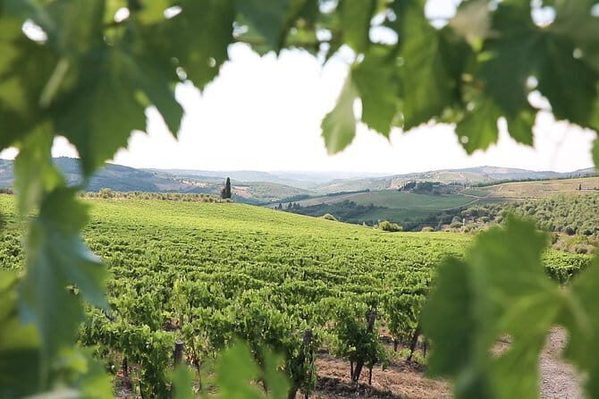 Chianti Wine Tour from Florence - Final Thoughts
