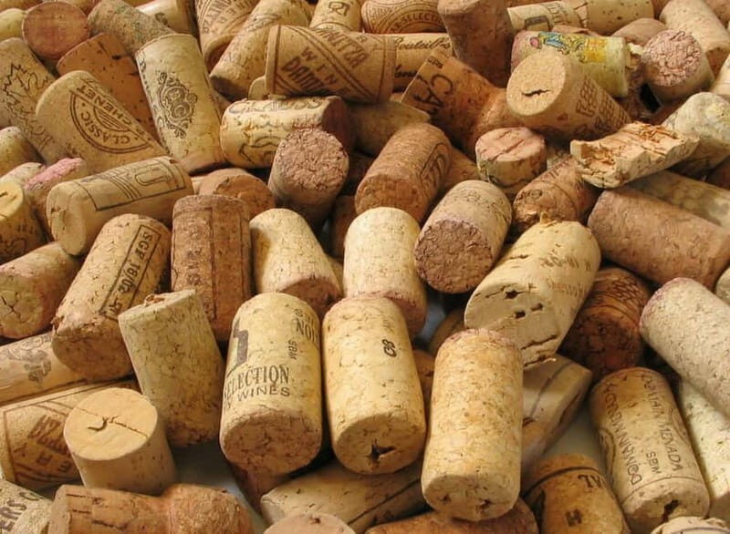 Chianti Wine Tour included meal & tasting at Winery (6hrs) - Key Points