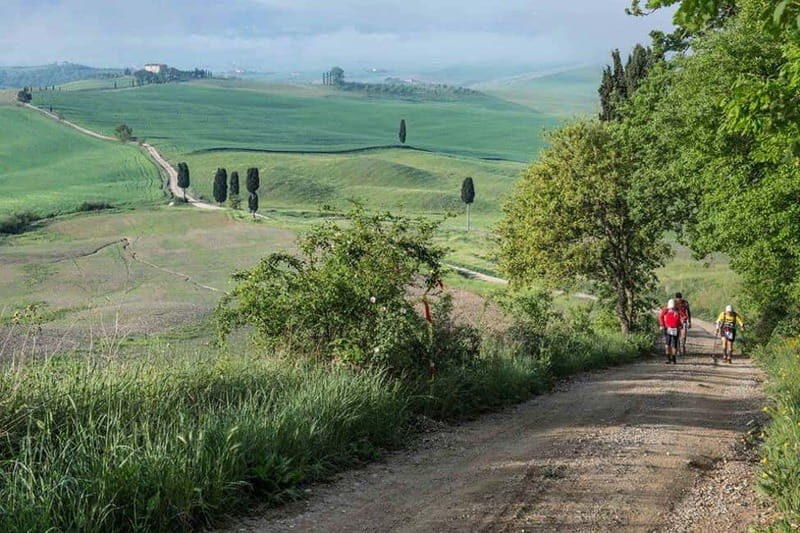 Chianti Wine Tour included meal & tasting at Winery (6hrs) - Real Traveler Experiences
