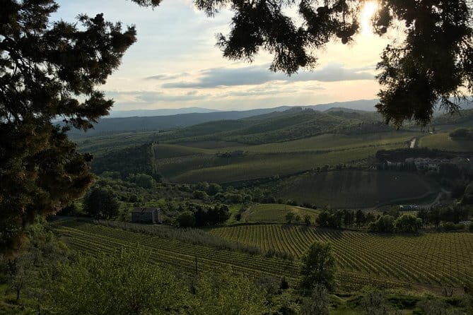 Chianti Wine Tour - Private Wine experience in Tuscany Countryside - An In-Depth Look at the Chianti Wine Tour