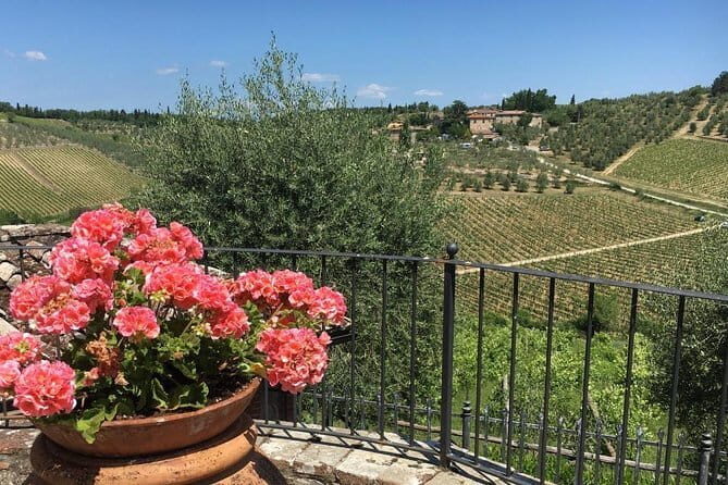 Chianti Wine Tour - Private Wine experience in Tuscany Countryside - FAQ