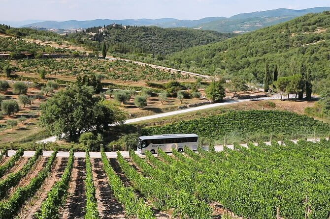 Chianti Wine Tour: Two Wine Tastings, Vineyards and Cellar Visit - Transport, Timing, and Group Experience