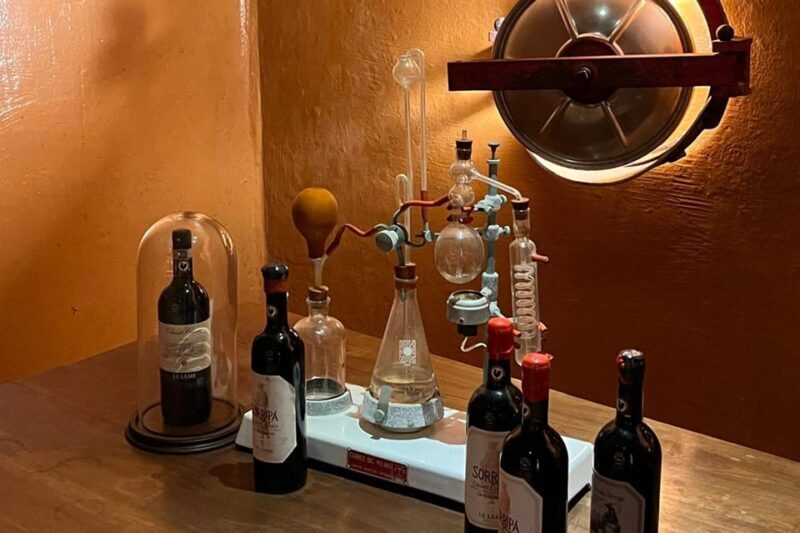Chianti Winery + Brolio Castle Private Tour - Introduction: A Cozy, Expert-Led Exploration of Tuscany