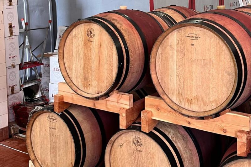 Chianti Winery + Brolio Castle Private Tour - Transport, Timing, and Comfort