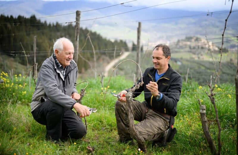 Chianti Winery Tour with Wine & Food Tasting near Florence - Why the Experience Offers Great Value