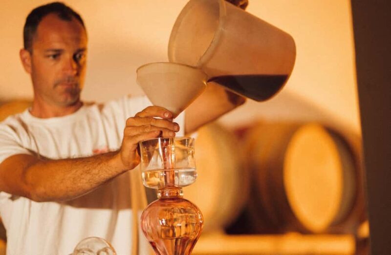 Chianti Winery Tour with Wine & Food Tasting near Florence - Overall Experience and Feedback