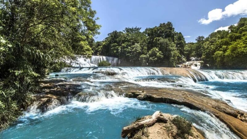 Chiapas: 4-Day Highlight Tour - Day 4: Indigenous Culture and Traditions