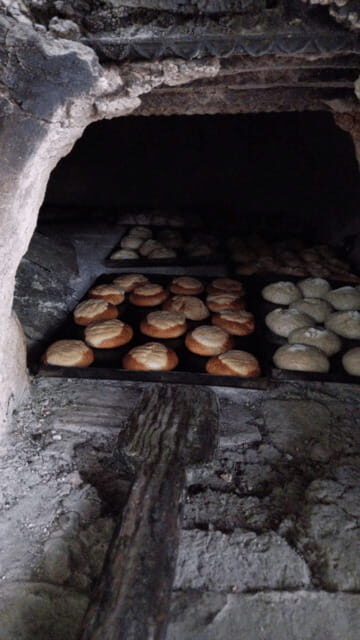 Chiapas: Immersive Zoque Culinary Experience - The Transport and Logistics