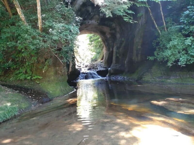 Chiba: Okuboso Nature Tour with Local Guide - An Authentic Peek into Okuboso’s Natural Charm