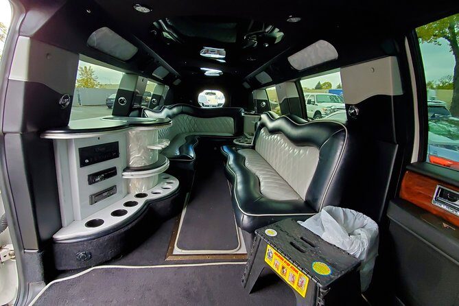 Chicago 4-Hour Private Sightseeing Transfer by Luxury Limousine - Custom Route and Stops