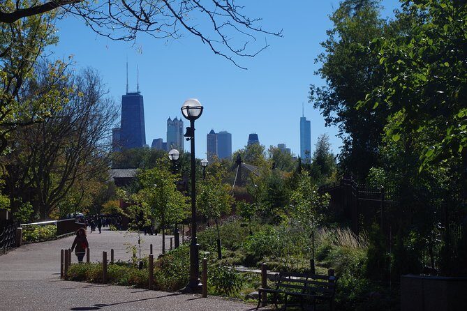Chicago Amazing Lakefront Bike Tour - Key Points