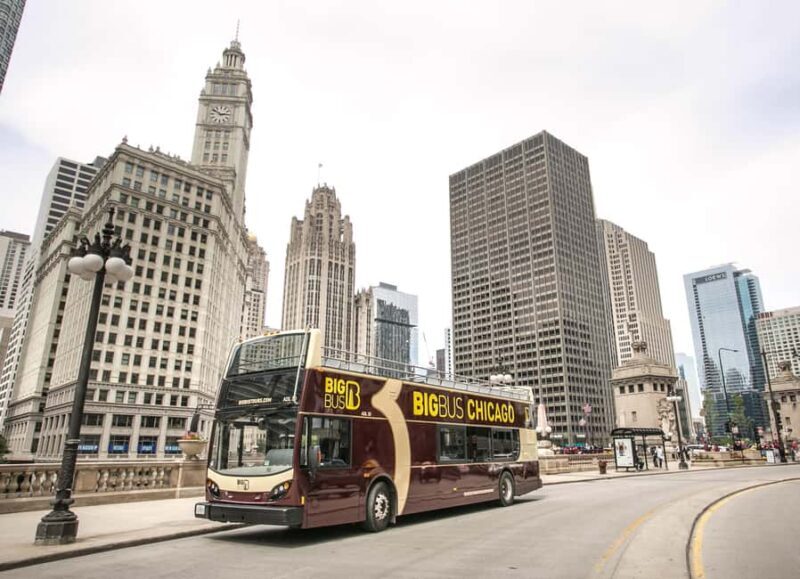 Chicago: Architecture River Tour and Hop-on Hop-off Bus Tour - Who Is This Tour Best For?