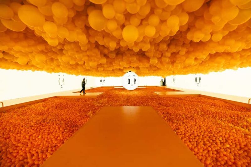 Chicago: Balloon Museum - EmotionAir - Entry Tickets - Key Points