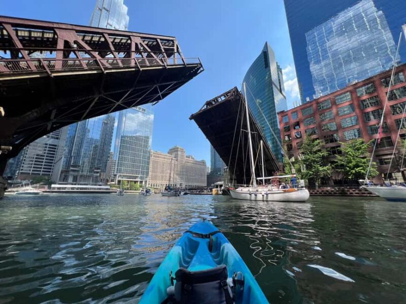 Chicago: Characters and Cons Guided Kayak Tour - Who Will Appreciate This Tour Most?