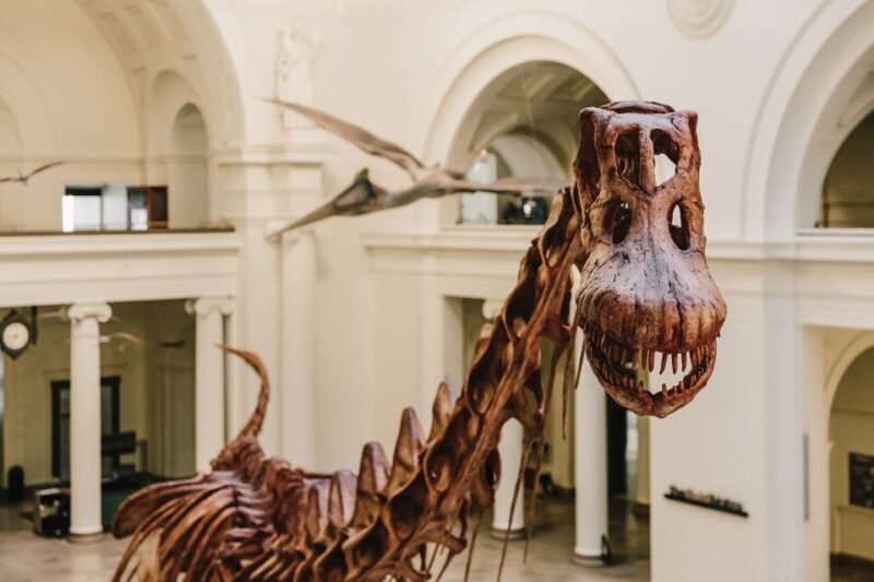 Chicago CityPASS®: Save up to 49% at 5 Top Attractions - Additional Options (Choose 3 of 6)