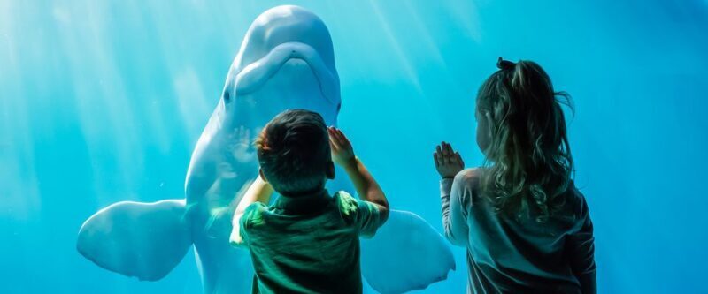 Chicago CityPASS®: Save up to 49% at 5 Top Attractions - What You’ll Love About the Chicago CityPASS®