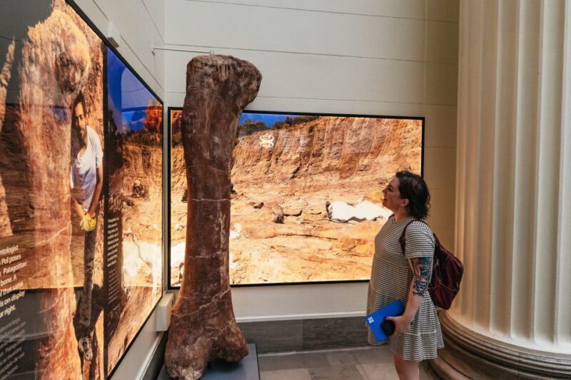 Chicago: Field Museum of Natural History Ticket or VIP Tour - Visiting Tips and Practical Considerations