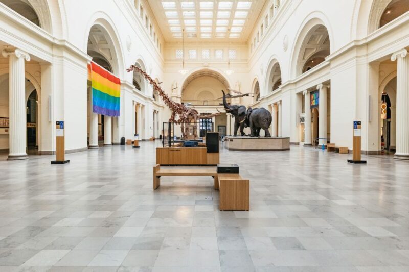 Chicago: Field Museum of Natural History Ticket or VIP Tour - An In-Depth Look at the Field Museum Experience