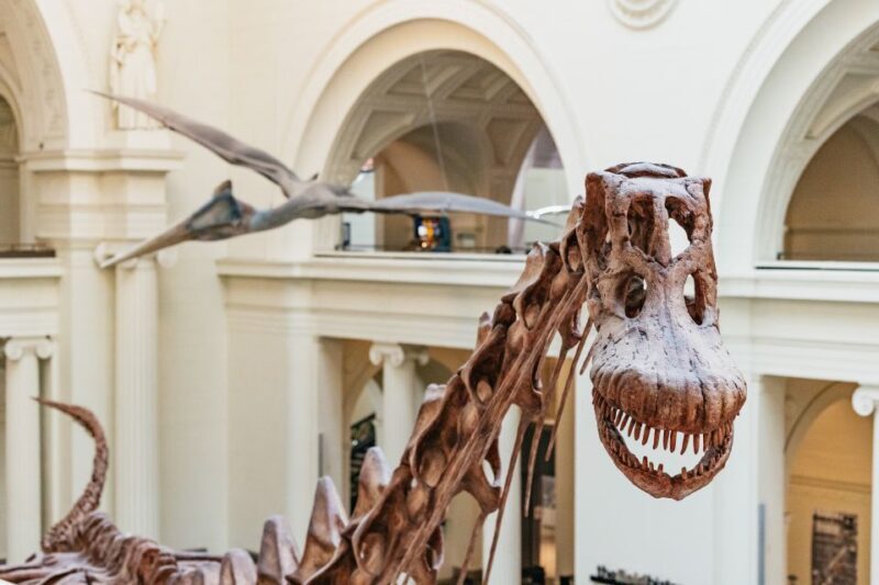Chicago: Field Museum of Natural History Ticket or VIP Tour - Practical Details and Tips