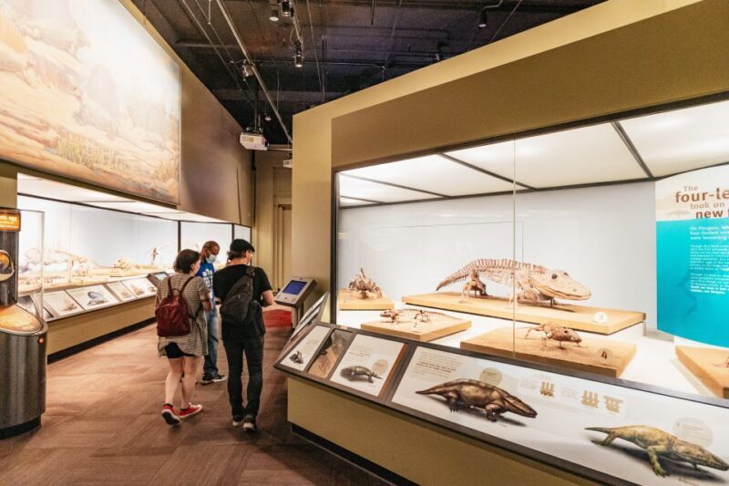 Chicago: Field Museum of Natural History Ticket or VIP Tour - What Past Visitors Say