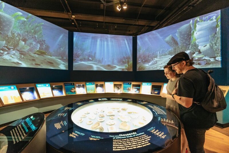 Chicago: Field Museum of Natural History Ticket or VIP Tour - The Sum Up: Is It Worth the Visit?