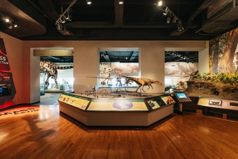 Chicago: Field Museum of Natural History Ticket or VIP Tour - FAQ