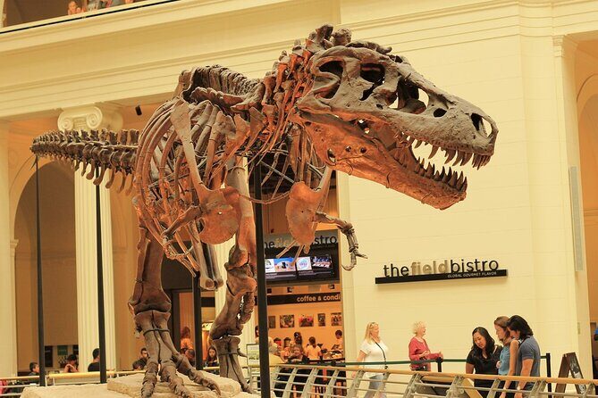 Chicago Field Museum Ticket and Audio Tour on Your Phone - Key Points