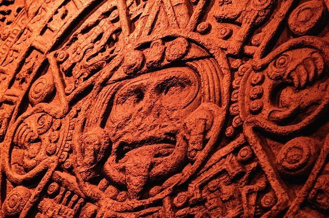 Chicago Field Museum Ticket and Audio Tour on Your Phone - What’s Missing?