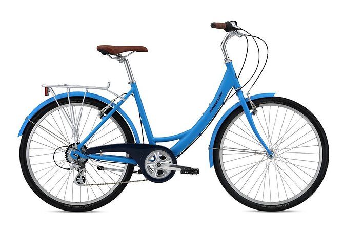 Chicago Full Day Bike Rental - Practical Considerations