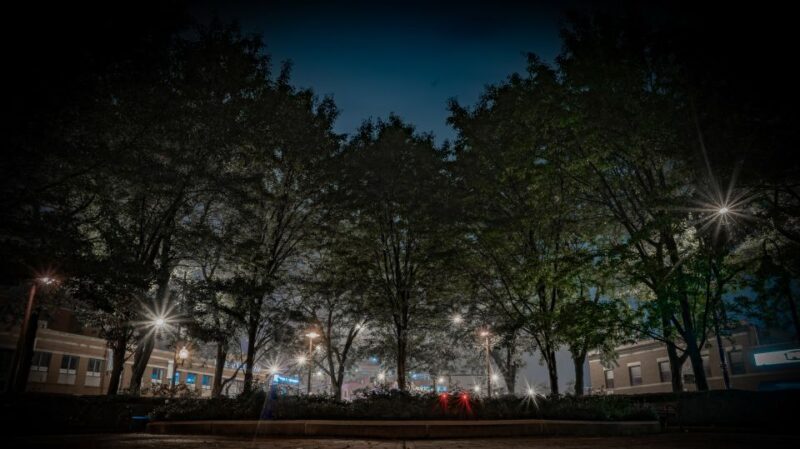Chicago: Ghosts & Hauntings of the Windy City Walking Tour - Discover Chicago’s Haunted Side with the Ghosts & Hauntings Walking Tour