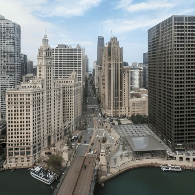 Chicago Highlights Private Walking Tour With A Guide - The Perfect Fit for…