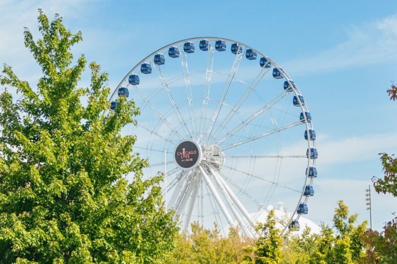 Chicago: Hop-on Hop-off Sightseeing Tour by Open-top Bus - Authentic Traveler Insights from Reviews
