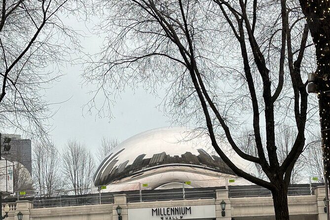 Chicago In A Day With A Local - The Sum Up
