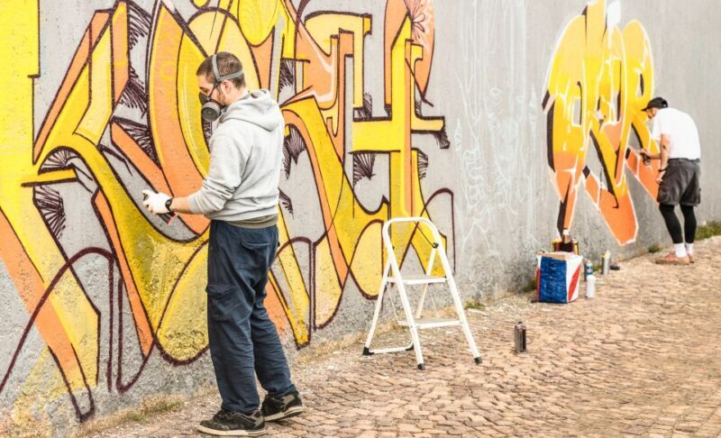 Chicago: Offbeat Guided Street Art Tour - The Value for Money