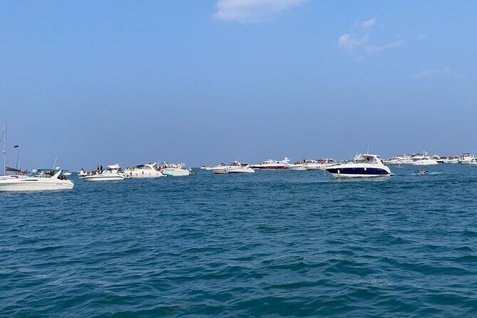 Chicago Private Boat Rental - Explore Chicago's Skyline & Waters - Summary: Who Is This Tour Best For?