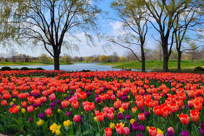 Chicago Suburbs Hidden Gems: Small-Group Exploration Tour - An Authentic Look at Chicago’s Surprising Suburbs