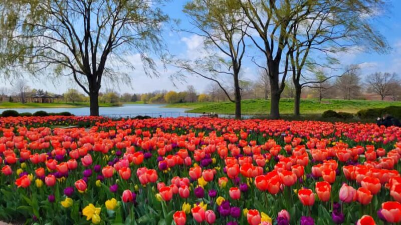 Chicago Suburbs: The Hidden Gems Tour - An In-Depth Look at the Tour