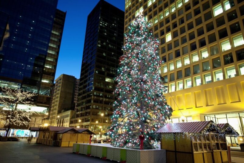 Chicagos Festive Lights: A Magical Christmas Journey - How Does This Tour Offer Good Value?