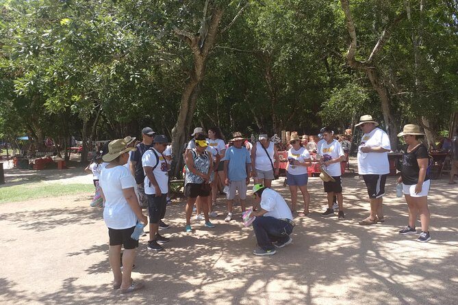 Chichen Itza Basic Tour: Sacred Cenote, Lunch, and Valladolid - Transport, Timing, and Group Size