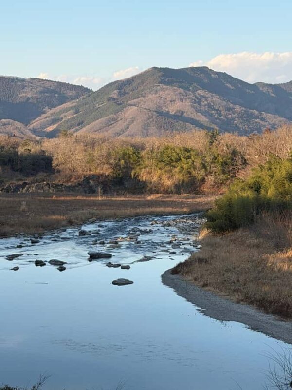 Chichibu Day Trip from Tokyo: Forest Retreat & Scenic Views - Relaxation and Local Flavors