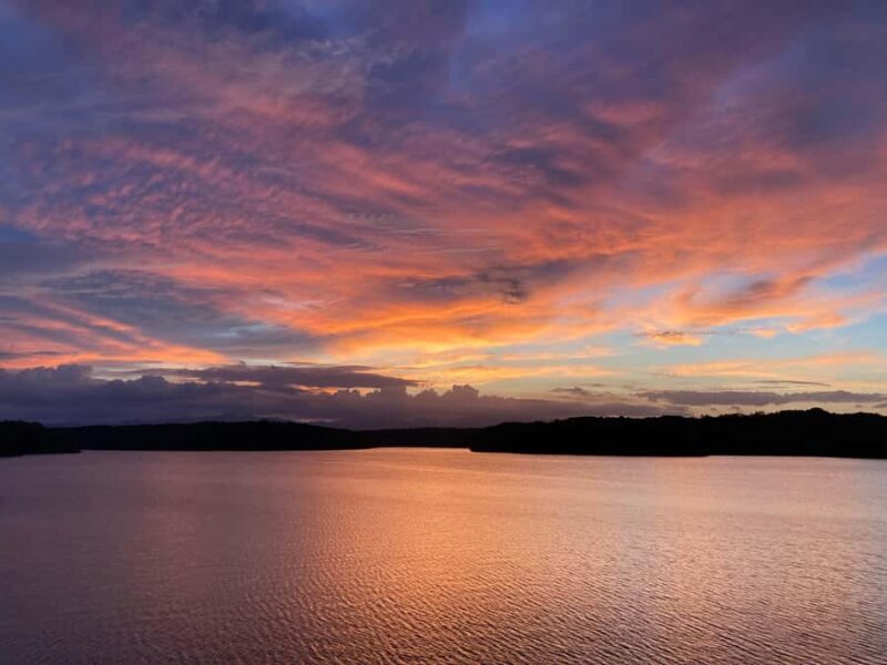 Chichibu Day Trip from Tokyo: Forest Retreat & Scenic Views - Transportation and Logistics