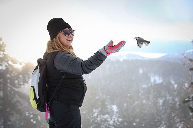Chickadee Ridge Beginner Snowshoe Activity - Pricing and Overall Value