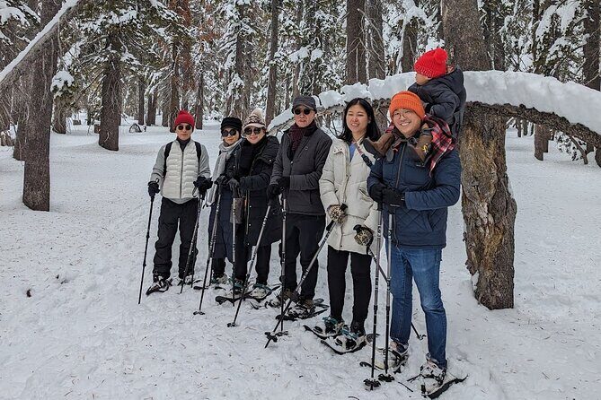 Chickadee Ridge Beginner Snowshoe Activity - Practical Considerations