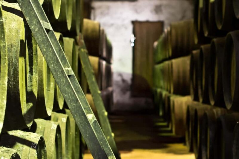 Chiclana de la Frontera: Winery Tour with Wine Tasting - Key Points