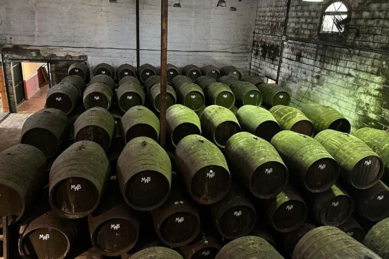 Chiclana de la Frontera: Winery Tour with Wine Tasting - Practical Tips for Visitors