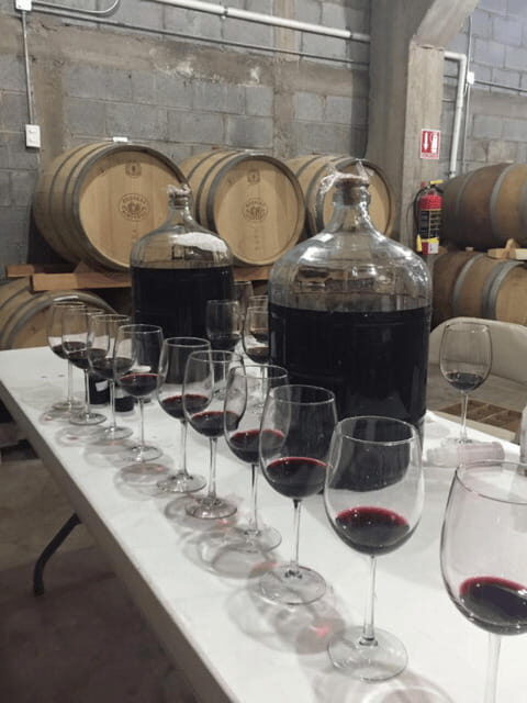 Chihuahua: Insignia Winery Wine Tasting Experience - The Sum Up