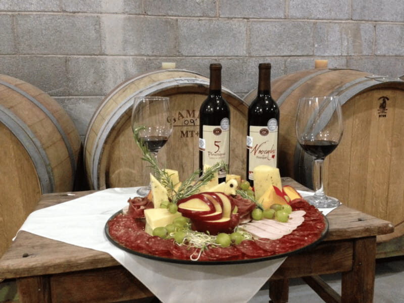 Chihuahua: Romantic Wine Tasting Experience - An Authentic Wine Experience in the Heart of Chihuahua
