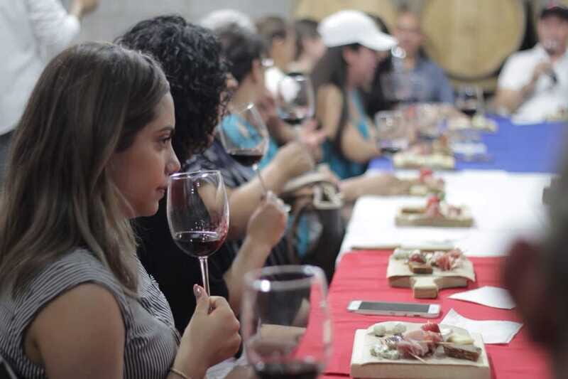 Chihuahua: Winery Tasting Experience - The Value of the Experience